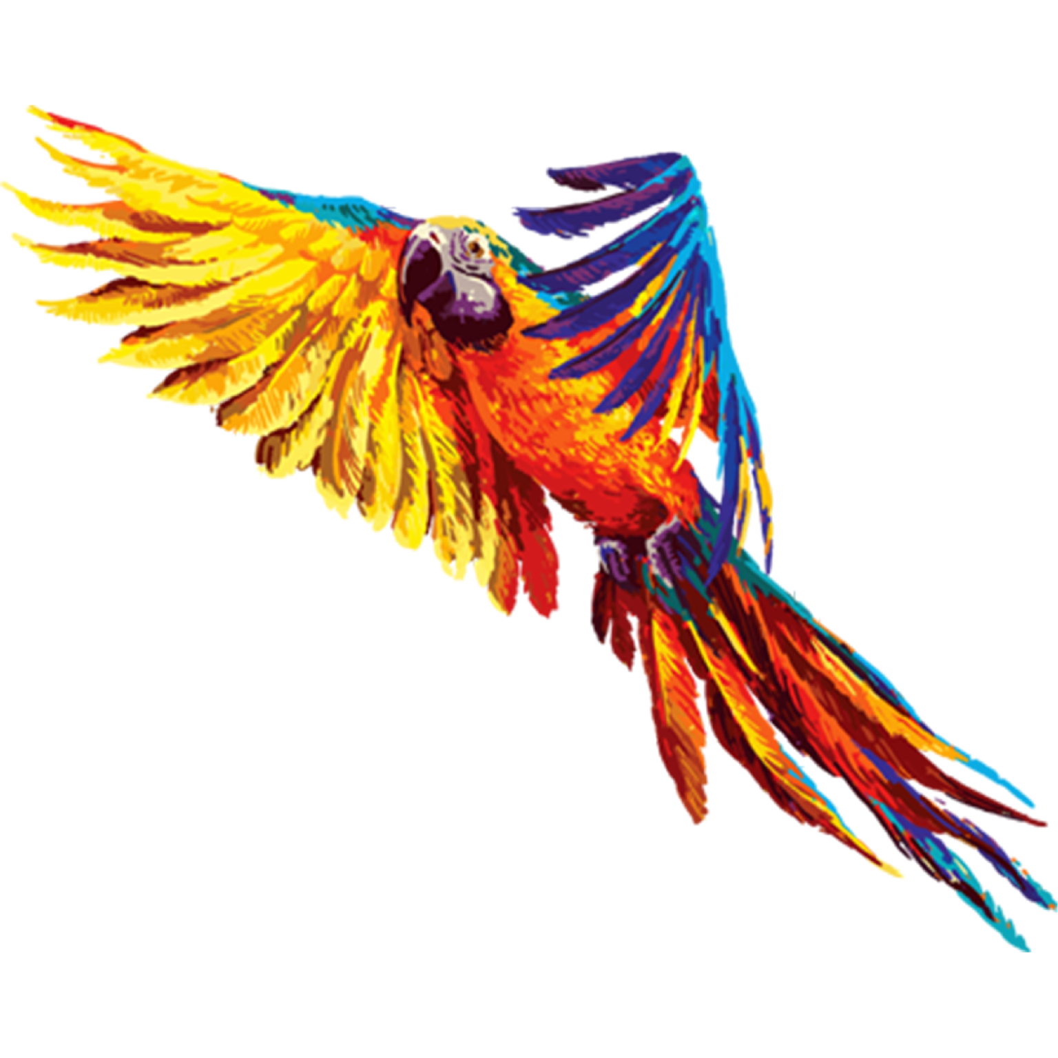 VP660 - Desktop Color Label Printer - VIPColor