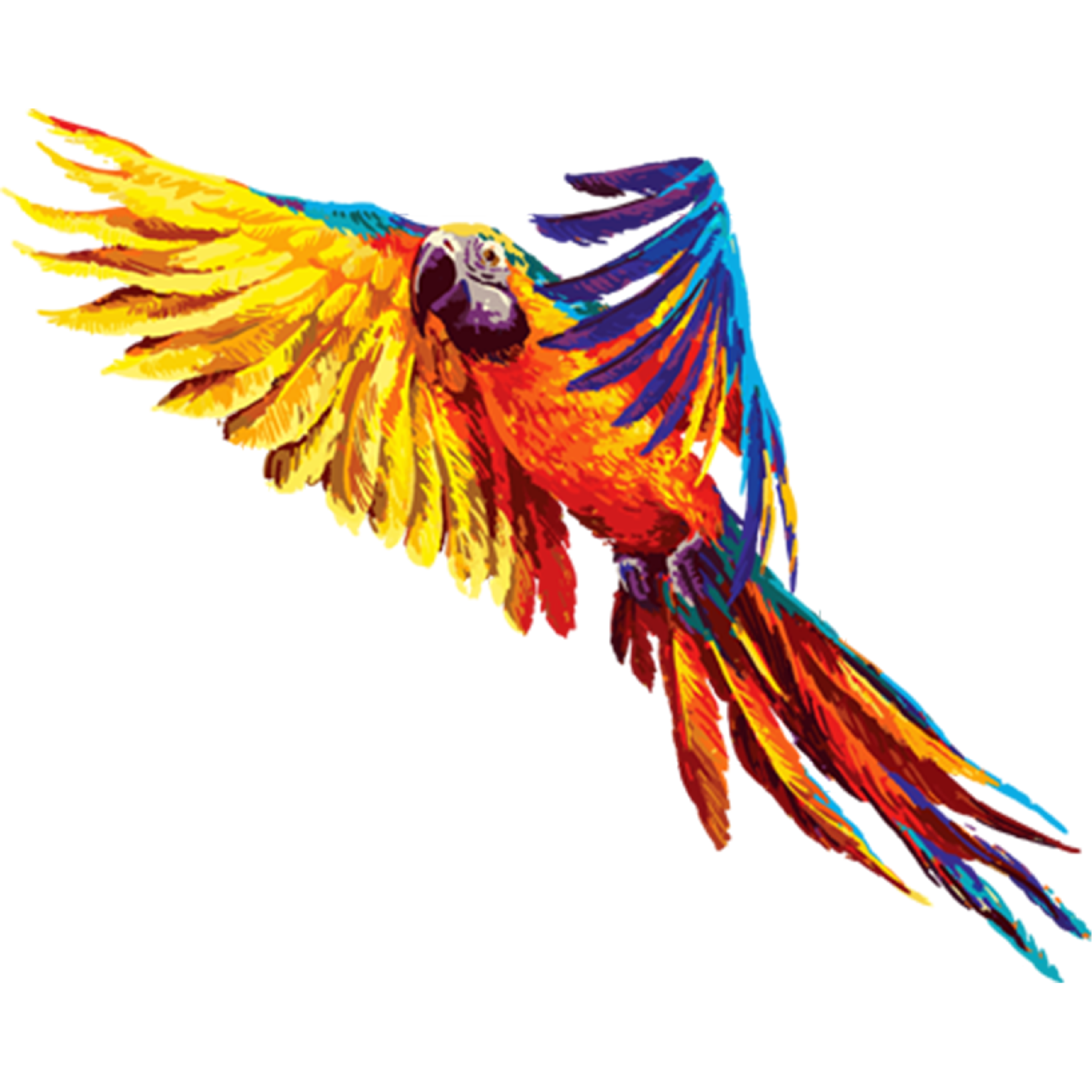 VP700 - Commercial Color Label Printer - VIPColor